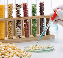 ACE Ingredients China manufacturer, Food Additive Company